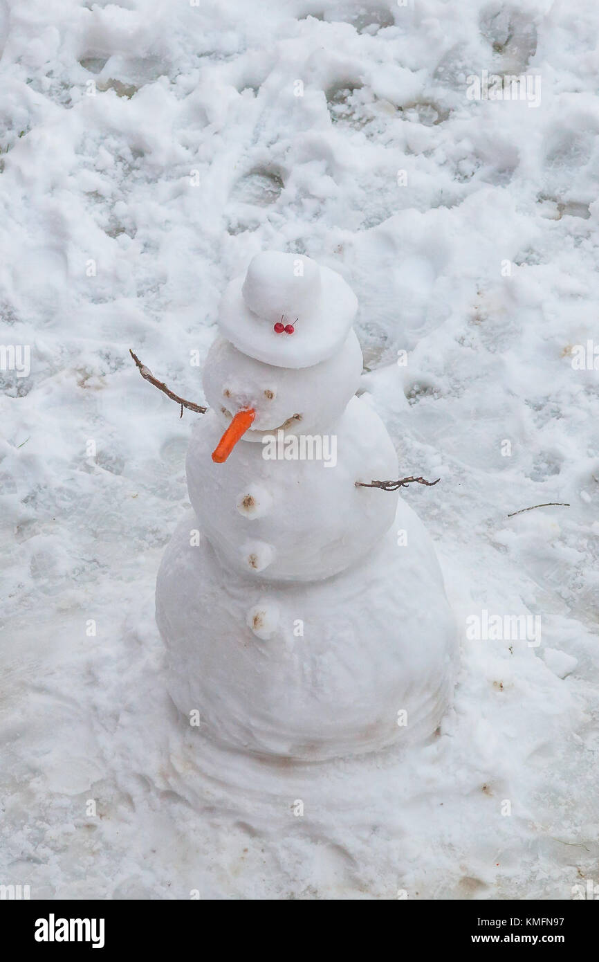 Snowman in winter Stock Photo - Alamy