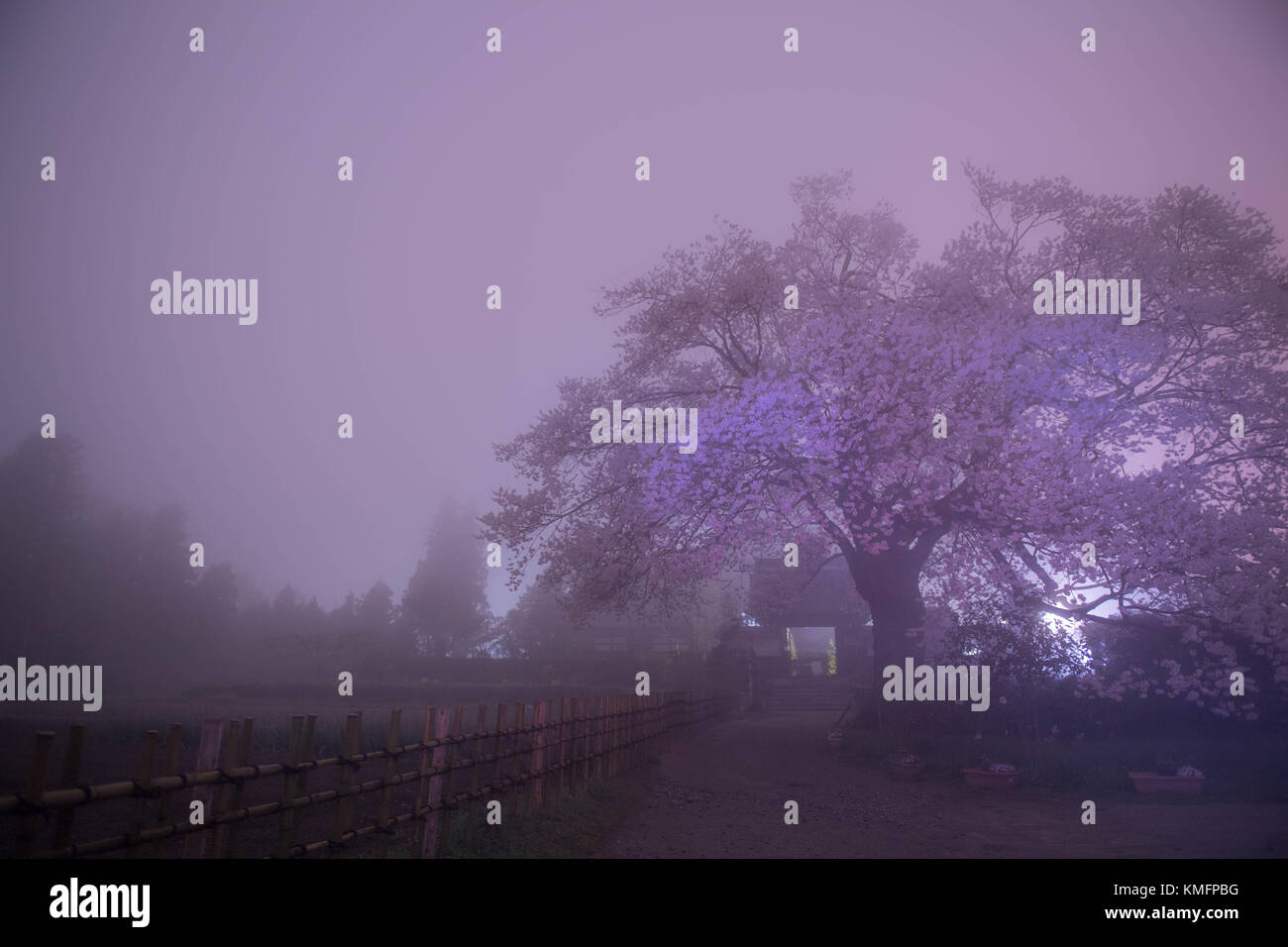 Foggy night photography hi-res stock photography and images - Alamy