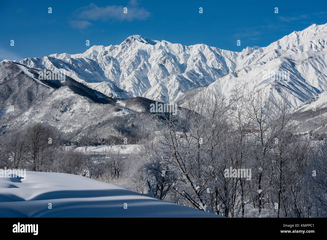 Heavy snow in morning Stock Photo - Alamy