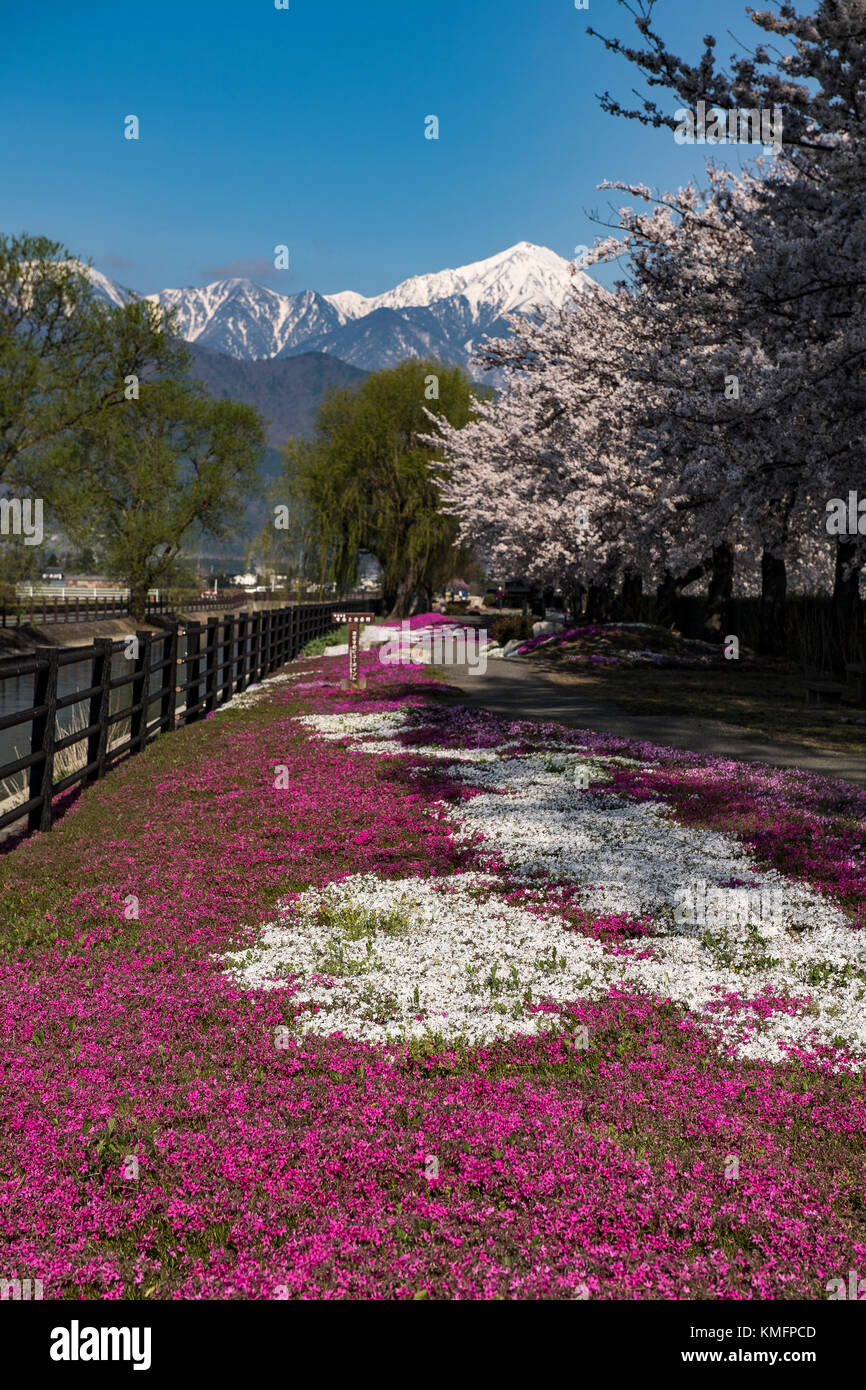 Azumino in spring Stock Photo - Alamy