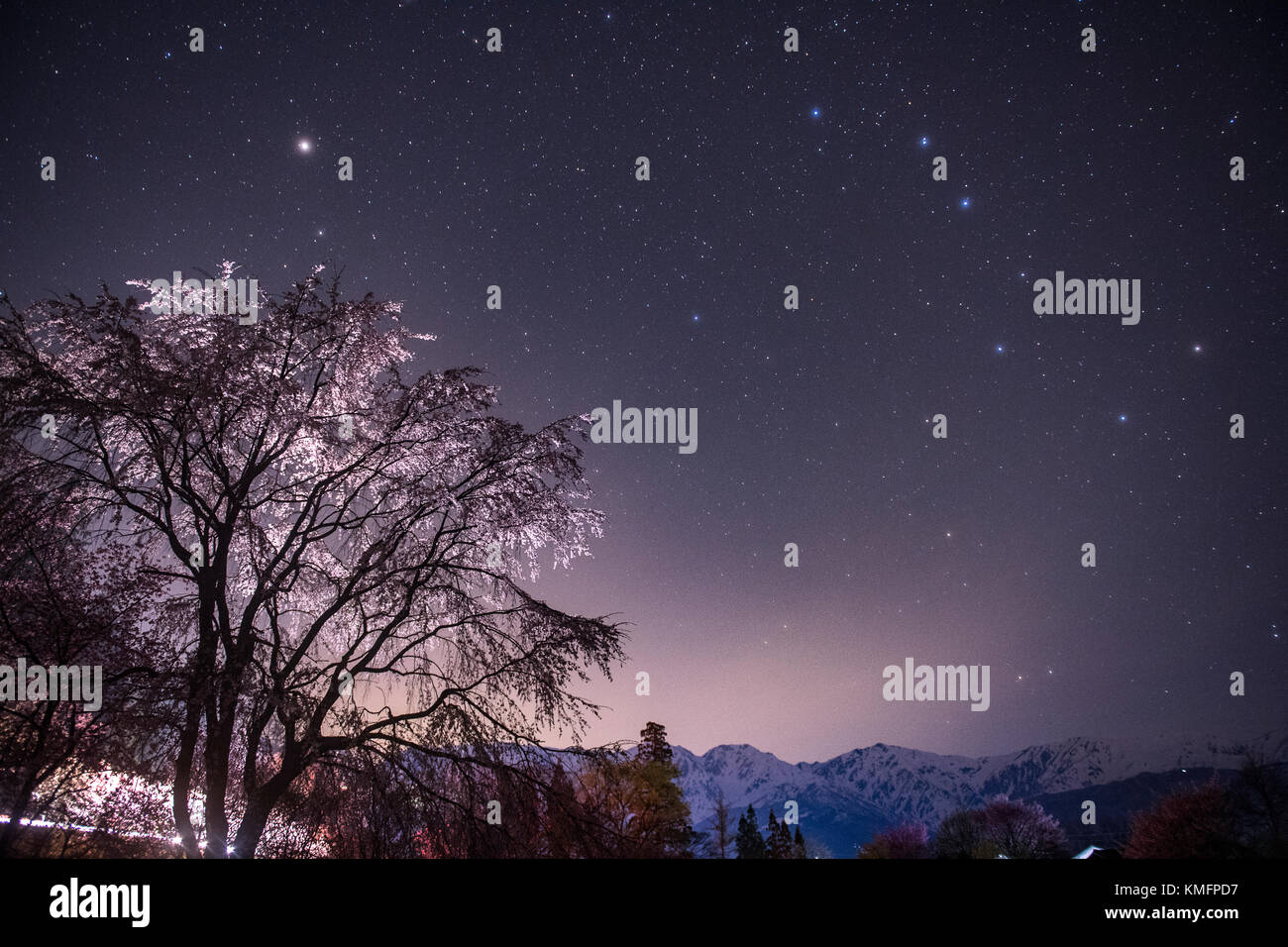 Cherry blossoms and Big Dipper at Oide Stock Photo - Alamy
