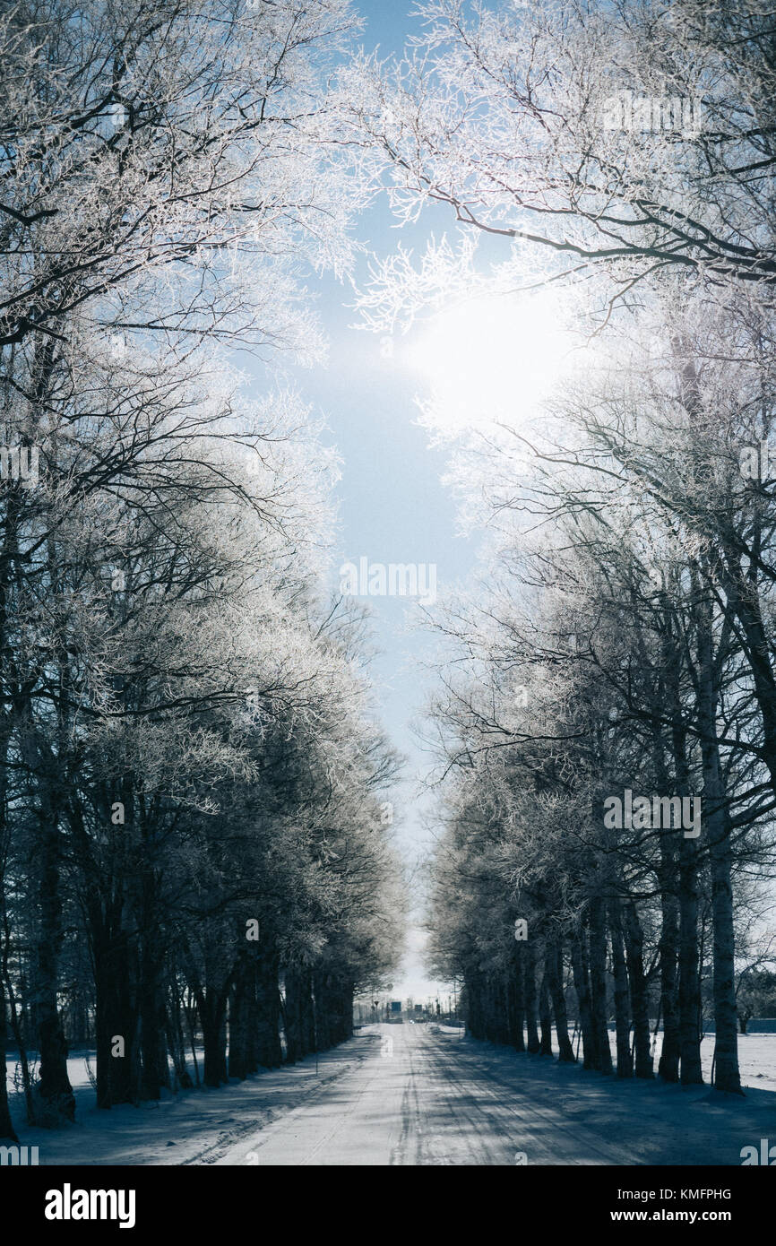 Straight line in winter hi-res stock photography and images - Alamy
