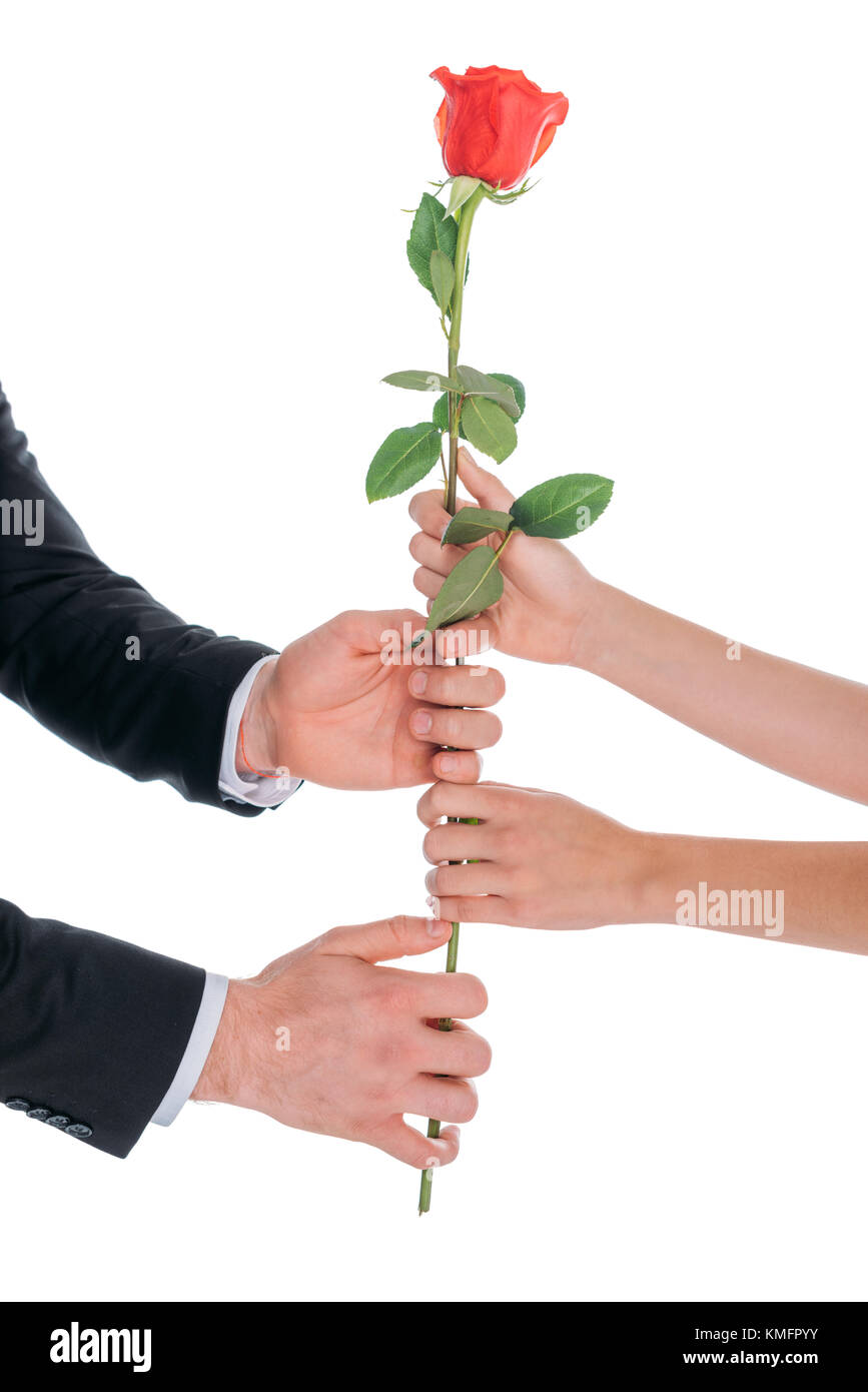 man presenting rose to woman Stock Photo - Alamy