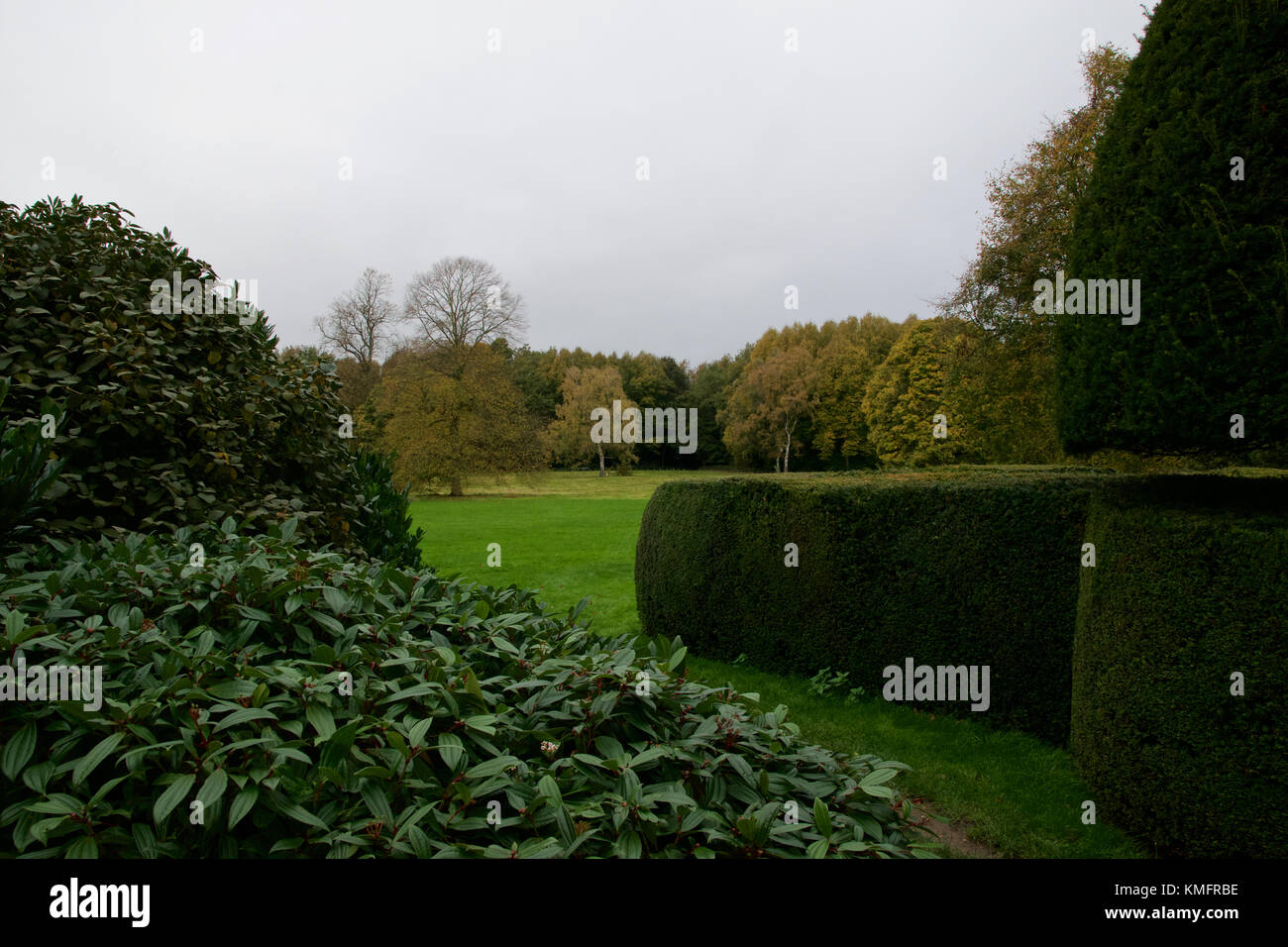 Hedges and Trees Stock Photo - Alamy