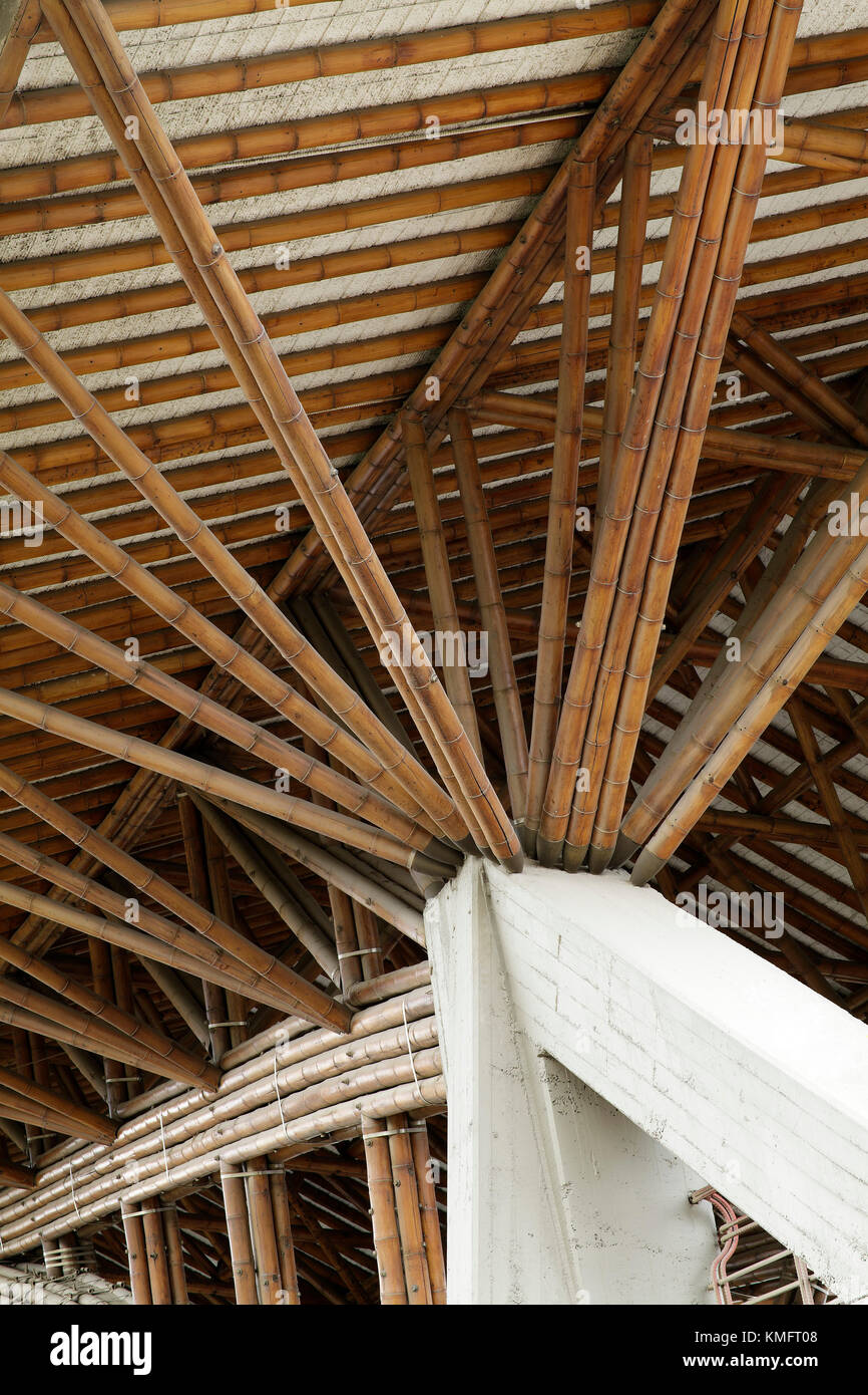 Bamboo meets concrete structural support. Jenny Garzón Bridge, Bogota ...