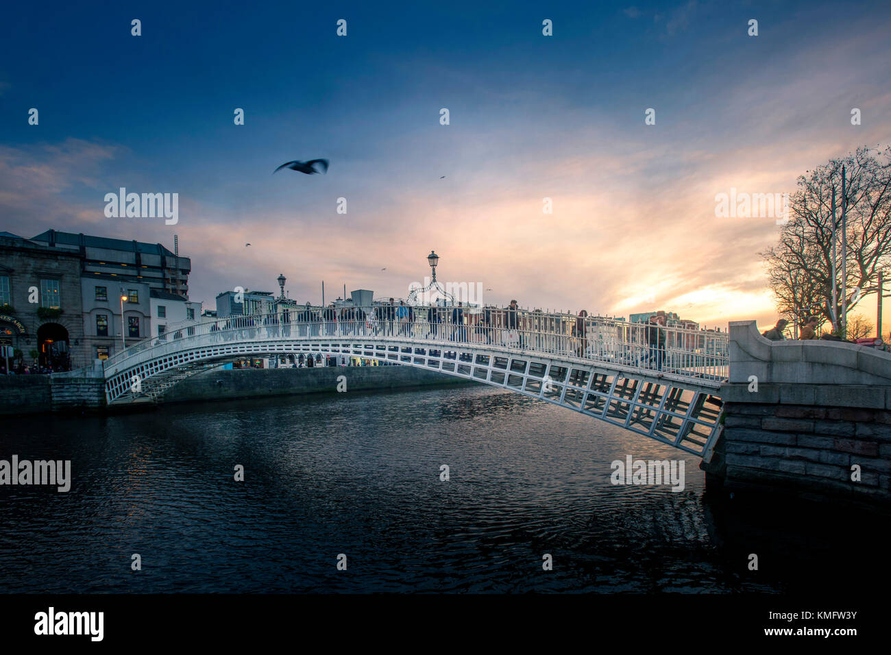 Ha'penny Bridge, Dublin, Ireland Stock Photo - Alamy