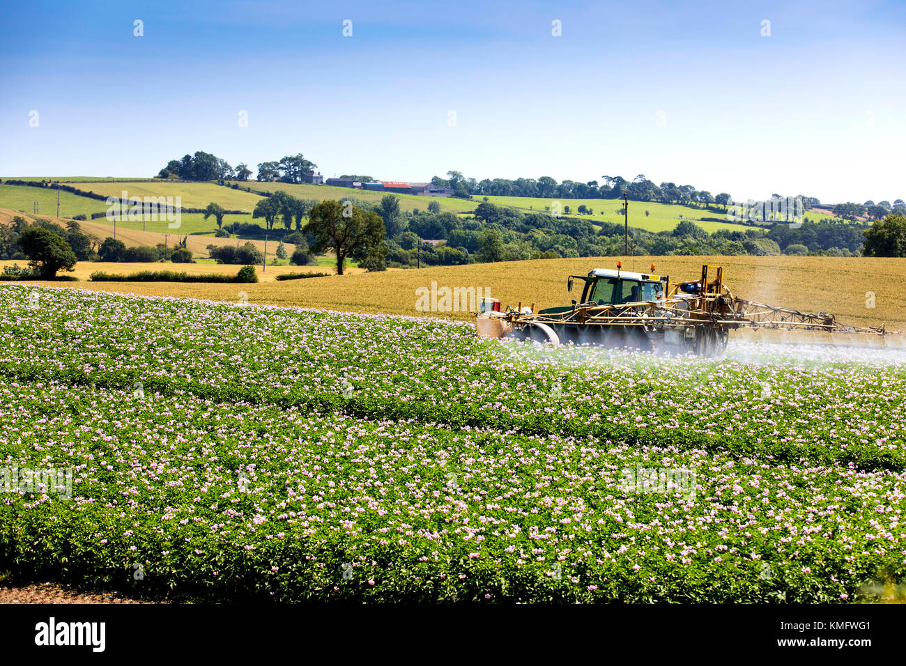 Agriculture in Northern Ireland Stock Photo - Alamy