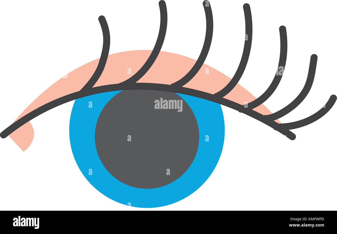 full color vision eye with eyelashes style design Stock Vector Image ...