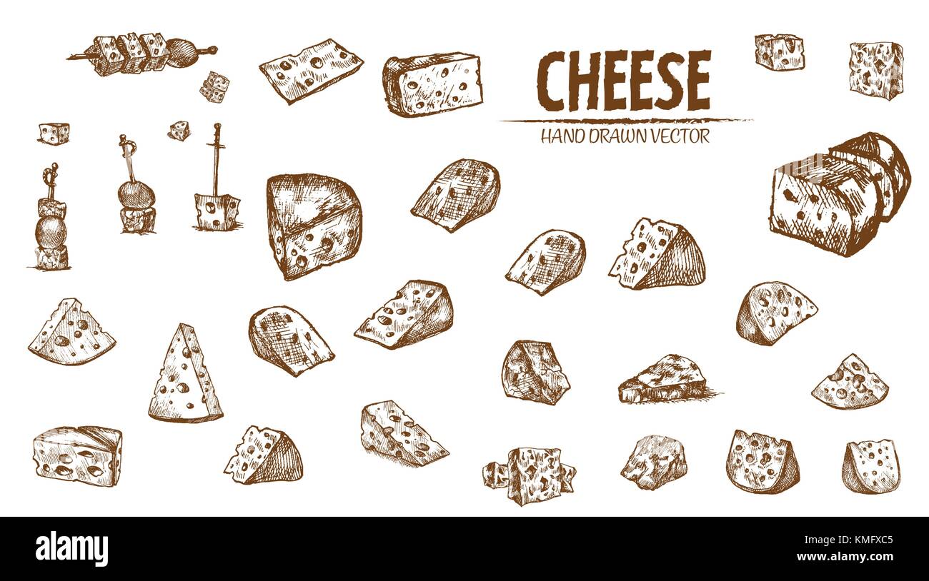 Digital vector detailed line art sliced cheese with holes hand drawn ...