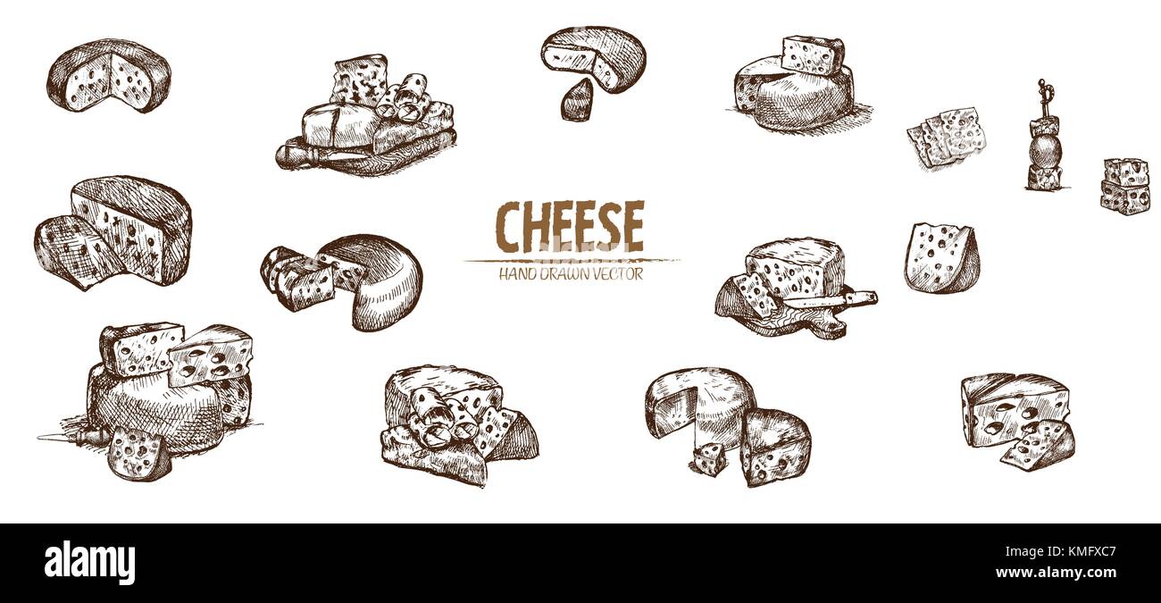 Digital vector detailed line art sliced cheese with holes hand drawn ...