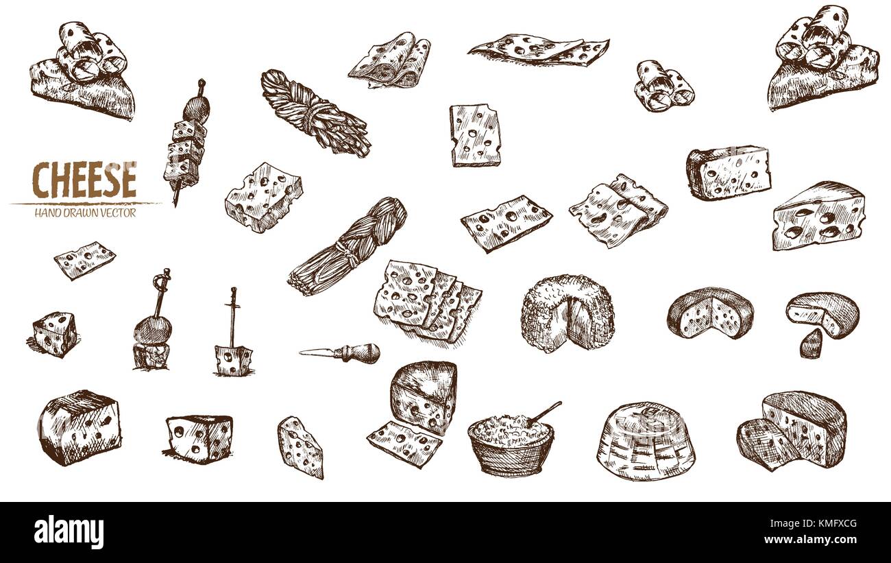 Digital vector detailed line art sliced cheese with holes hand drawn ...