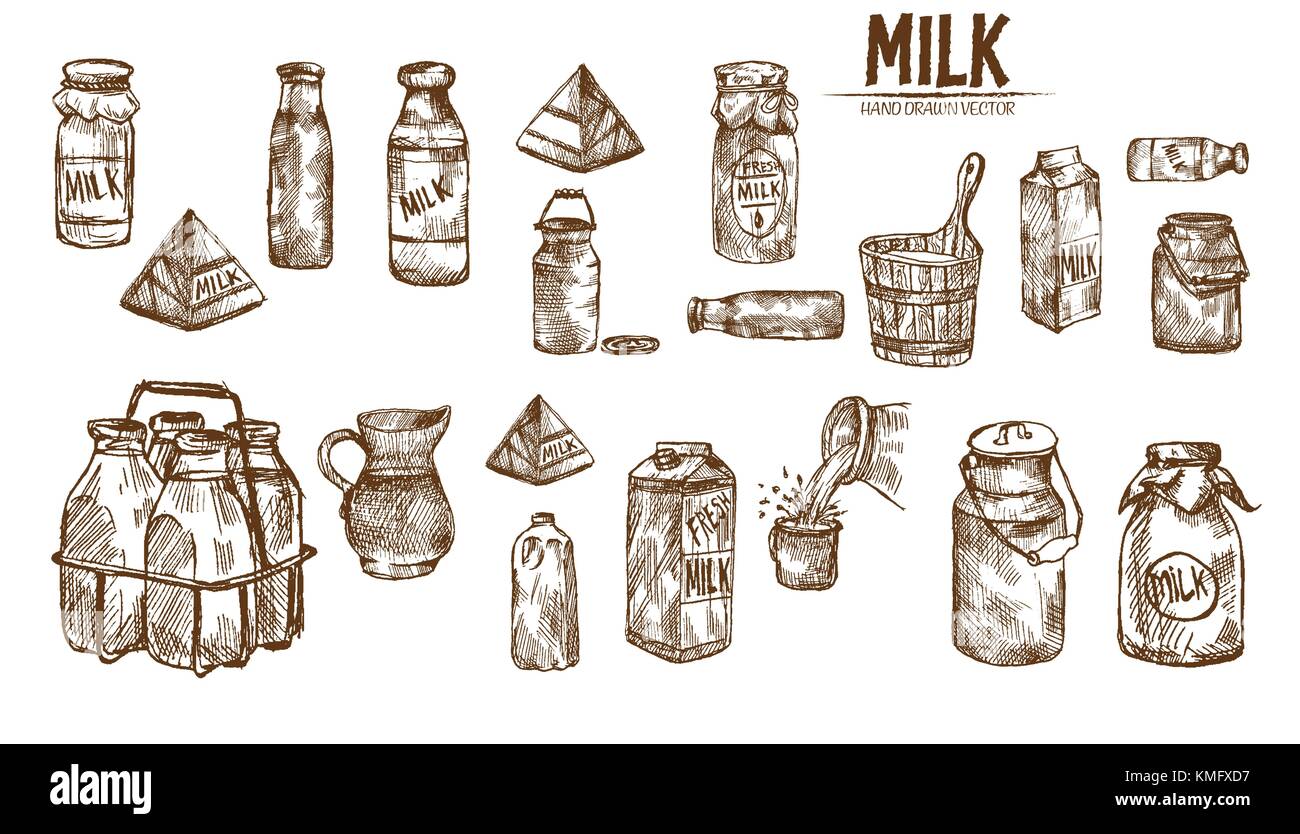 Digital vector detailed line art milk in different packages hand drawn ...