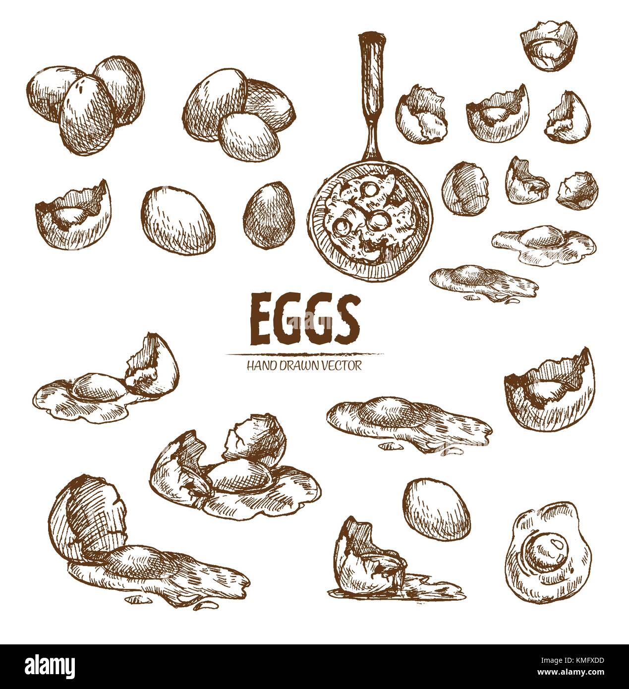 Digital vector detailed line art splitted scratch and whole eggs hand ...