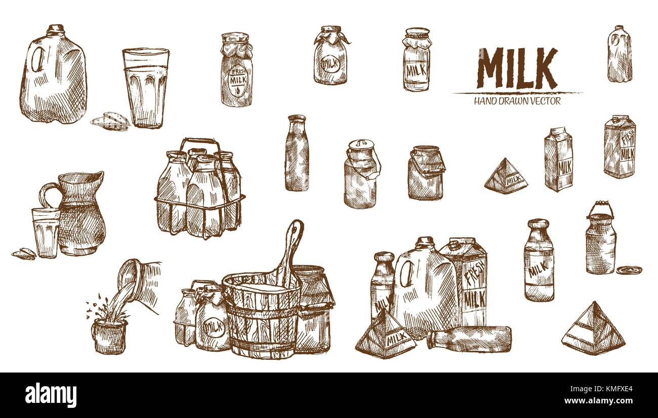 Digital vector detailed line art milk in different packages hand drawn ...