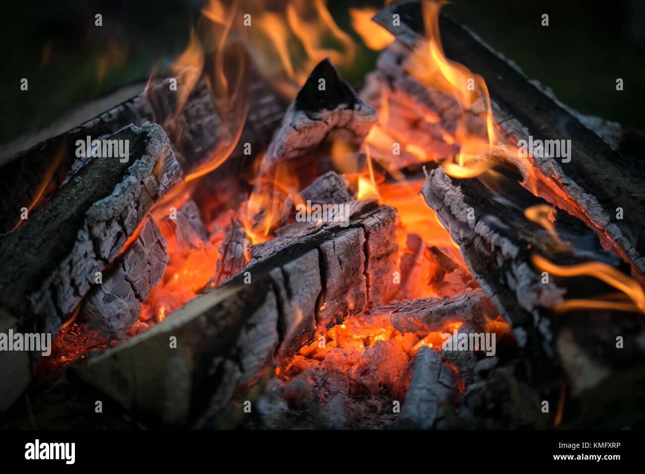 Bonfire in a wood in the evening Stock Photo - Alamy