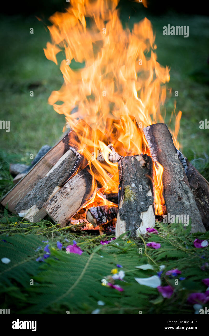 Bonfire in a wood with fern and flowers Stock Photo - Alamy