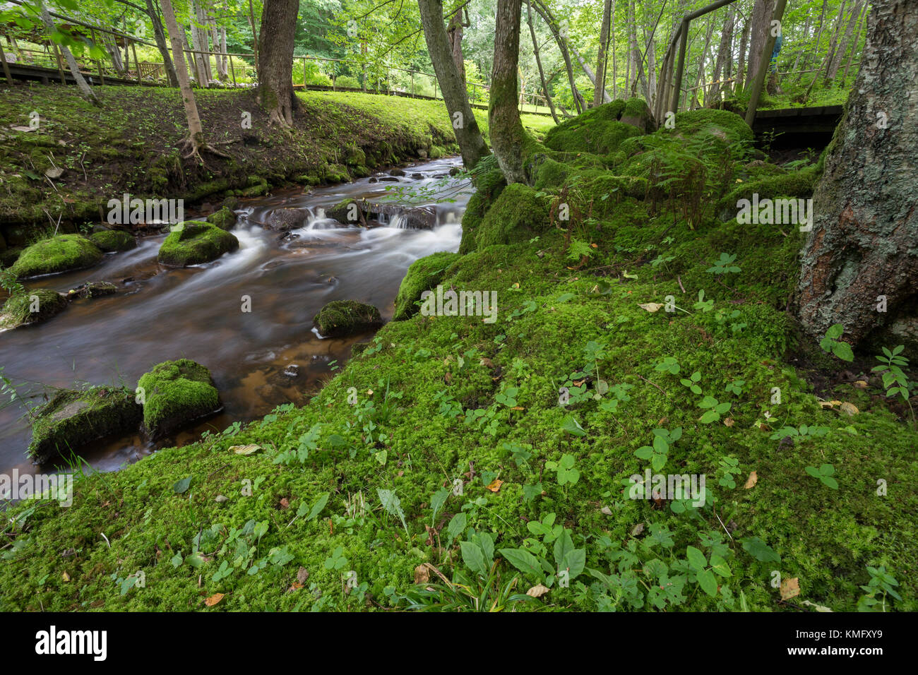 Green Park in Latvia Stock Photo - Alamy