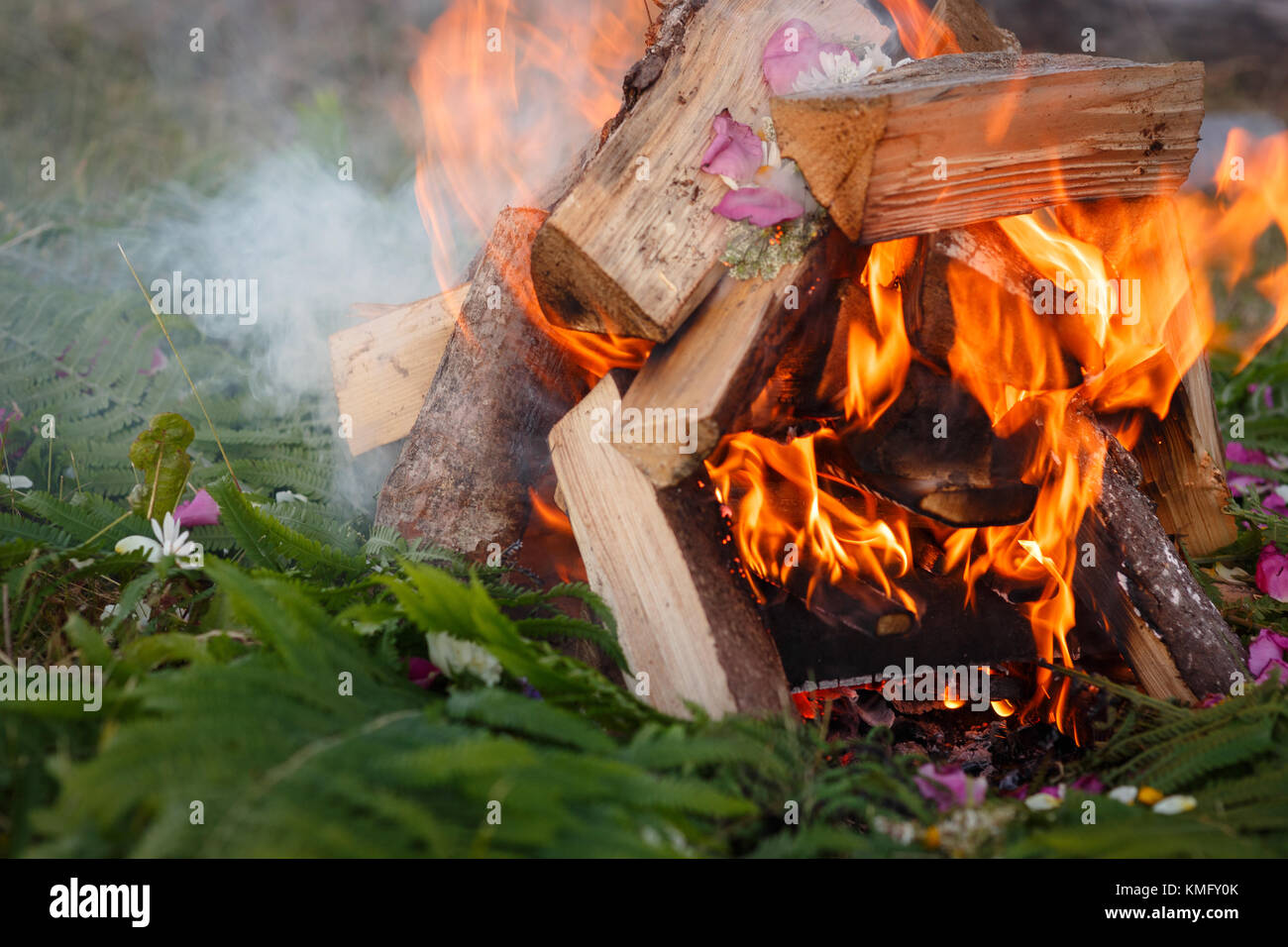 Bonfire in a wood with fern and flowers Stock Photo - Alamy