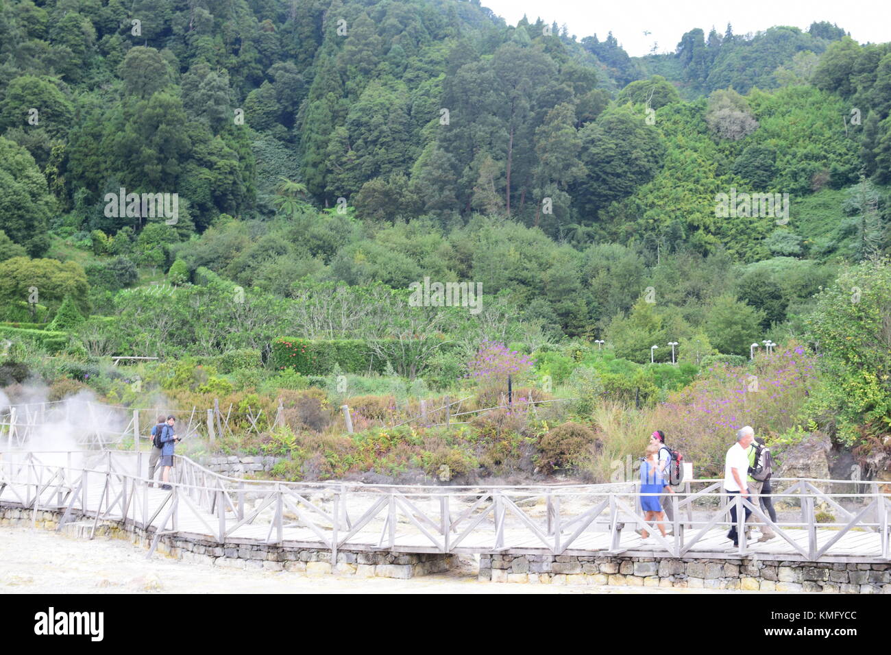 Fumarolas da lagoa das furnas hi-res stock photography and images - Alamy