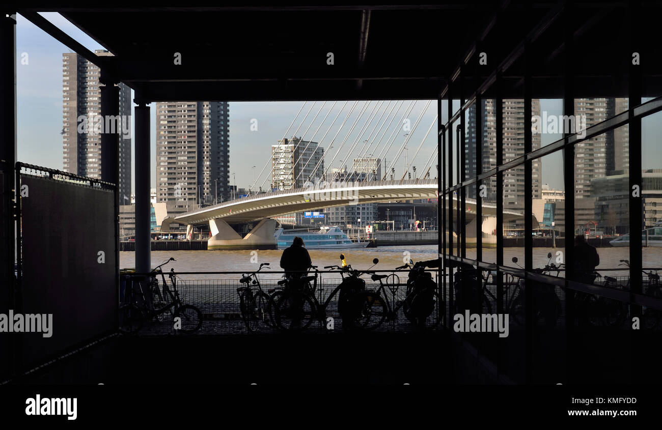 Rotterdam bridge bicycle hi-res stock photography and images - Alamy
