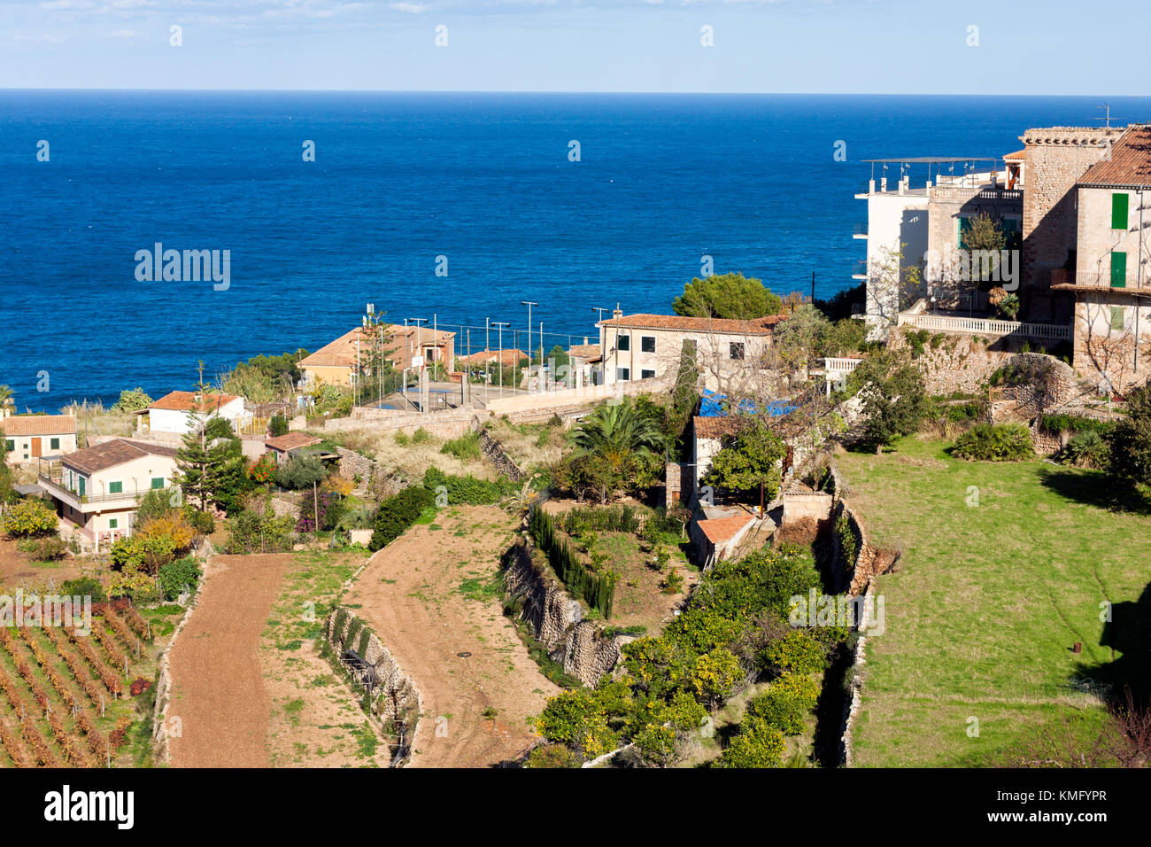 Vineyard terraces in Banyalbufar, Majorca, Spain Stock Photo - Alamy
