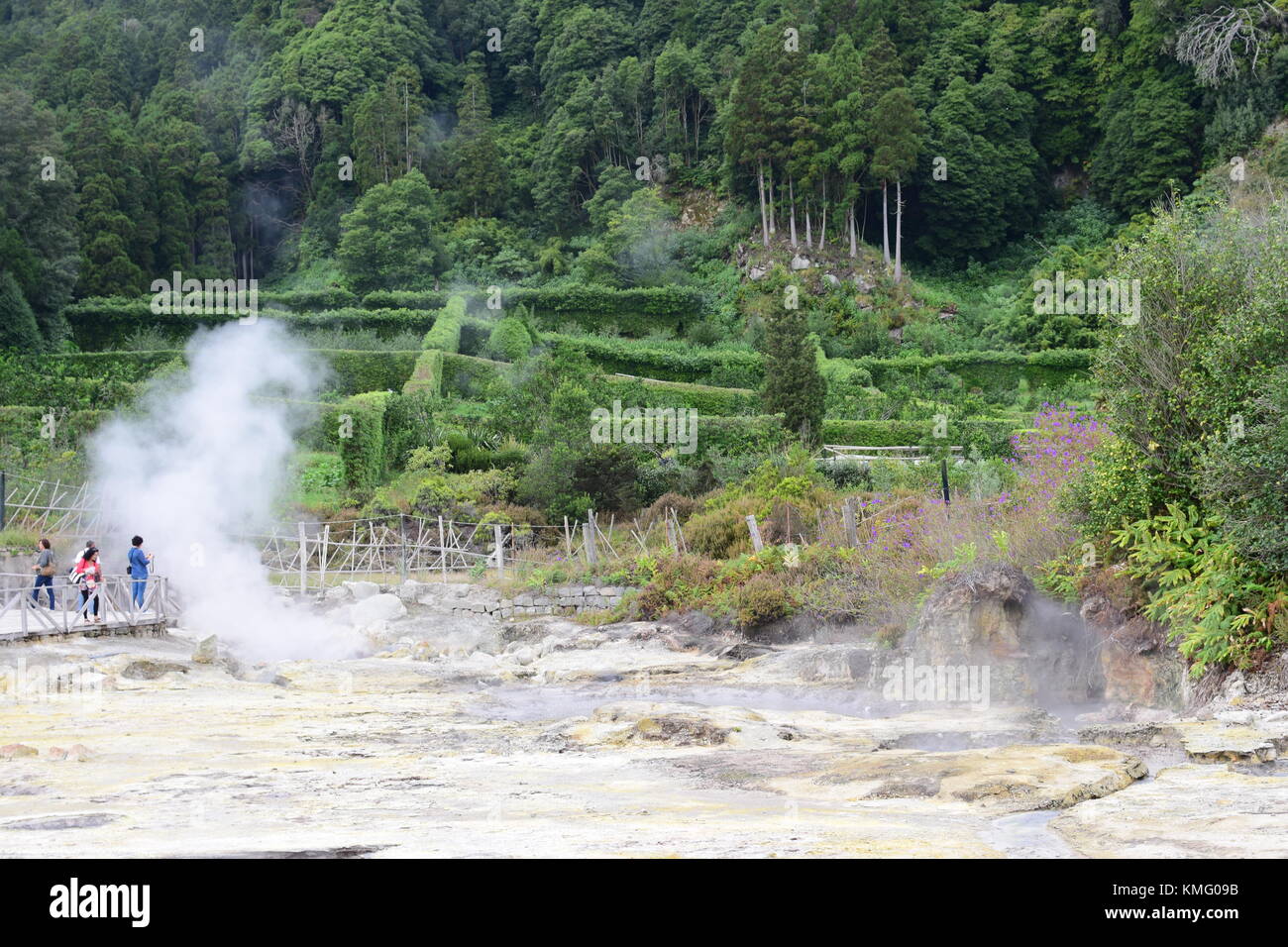Fumarolas da lagoa das furnas hi-res stock photography and images - Alamy