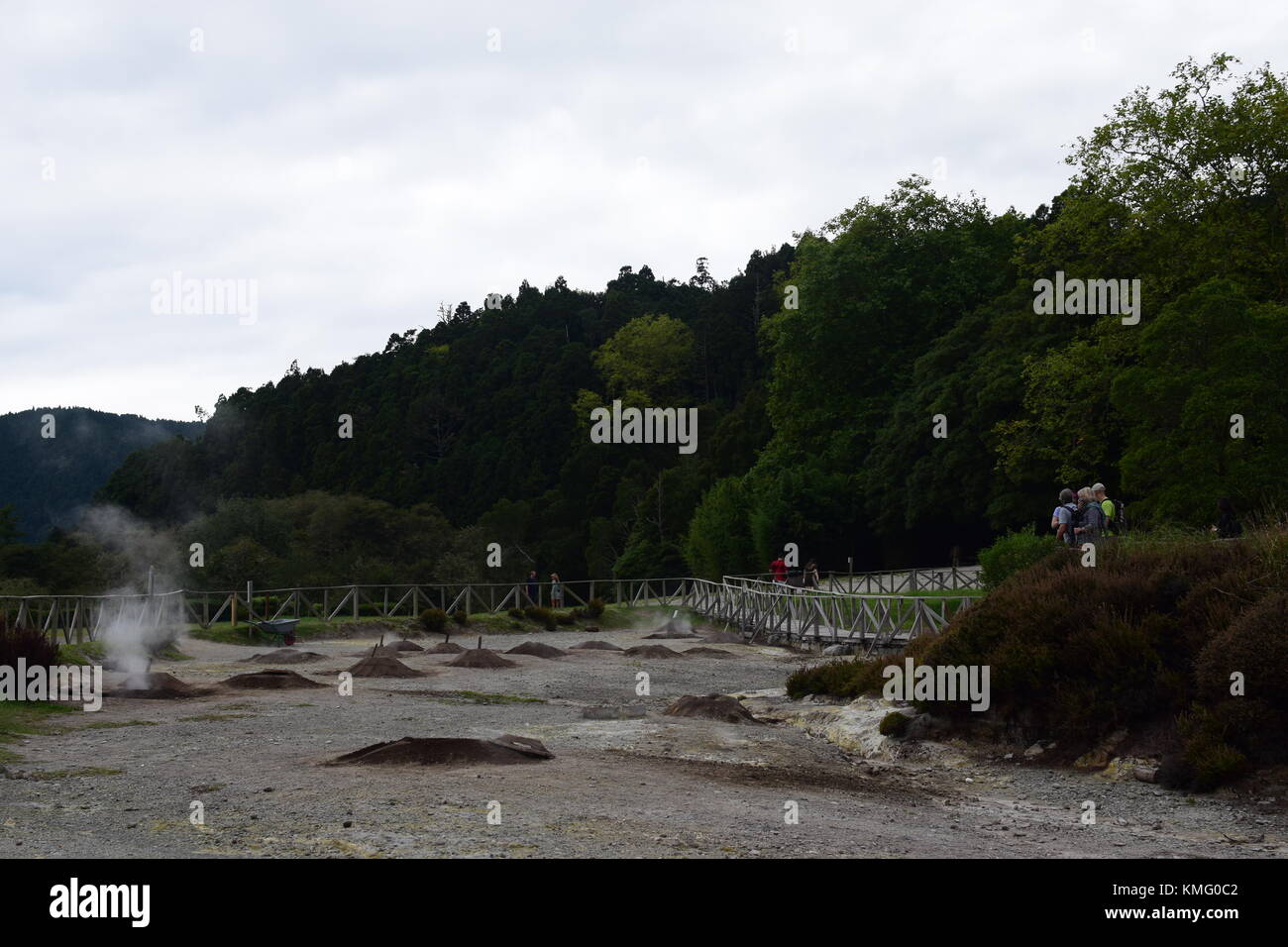 Furnas fumarolas on sao miguel hi-res stock photography and images - Alamy