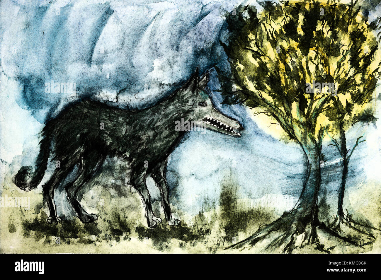Weathered wild wolf in the forest. The dabbing technique near the edges ...