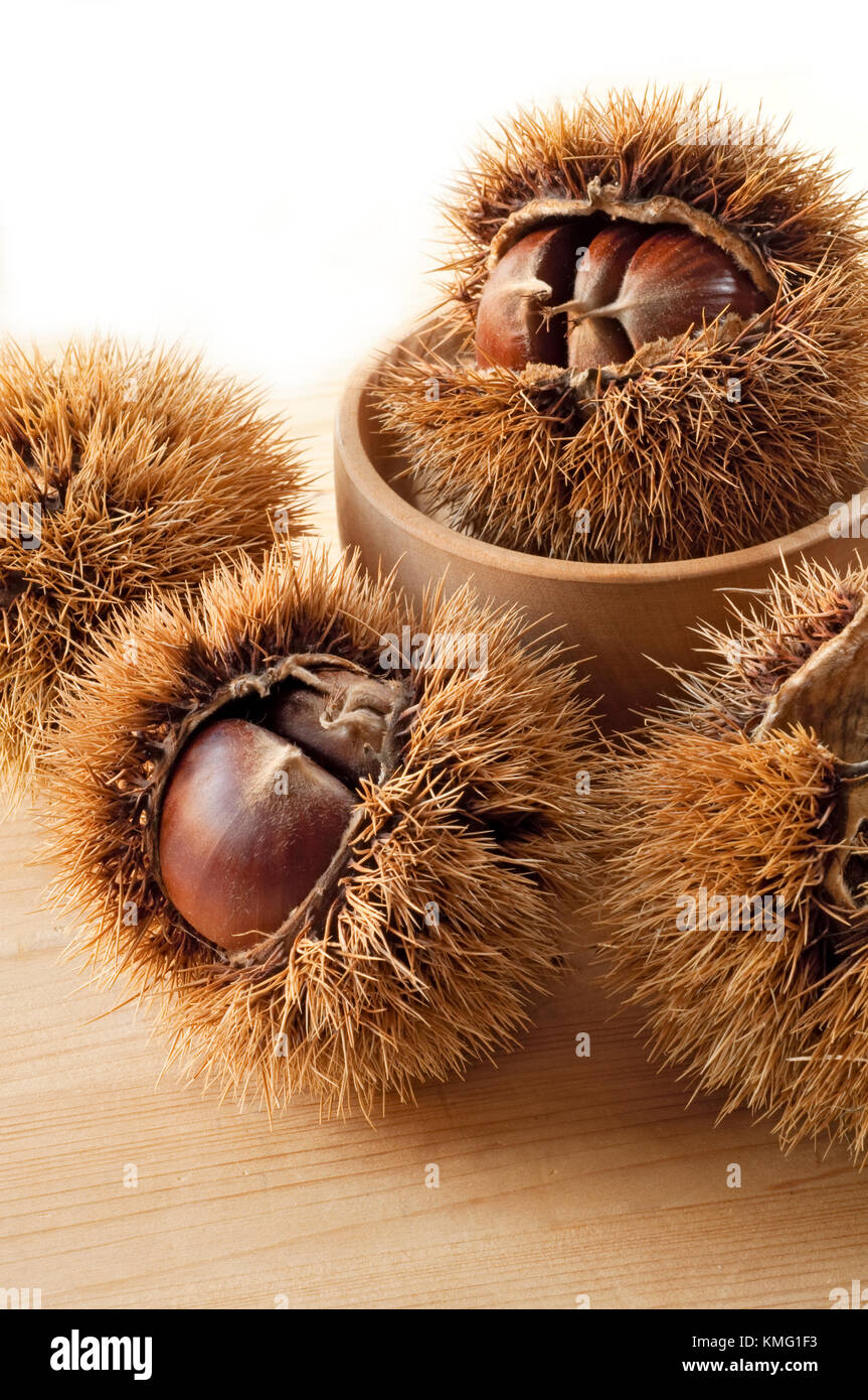Chesnuts white hi-res stock photography and images - Alamy