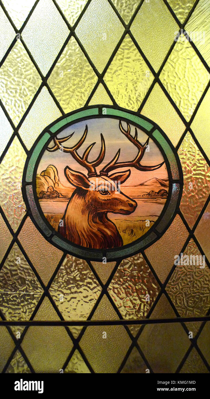 A general view of atmosphere a deer on stained glass window on ...