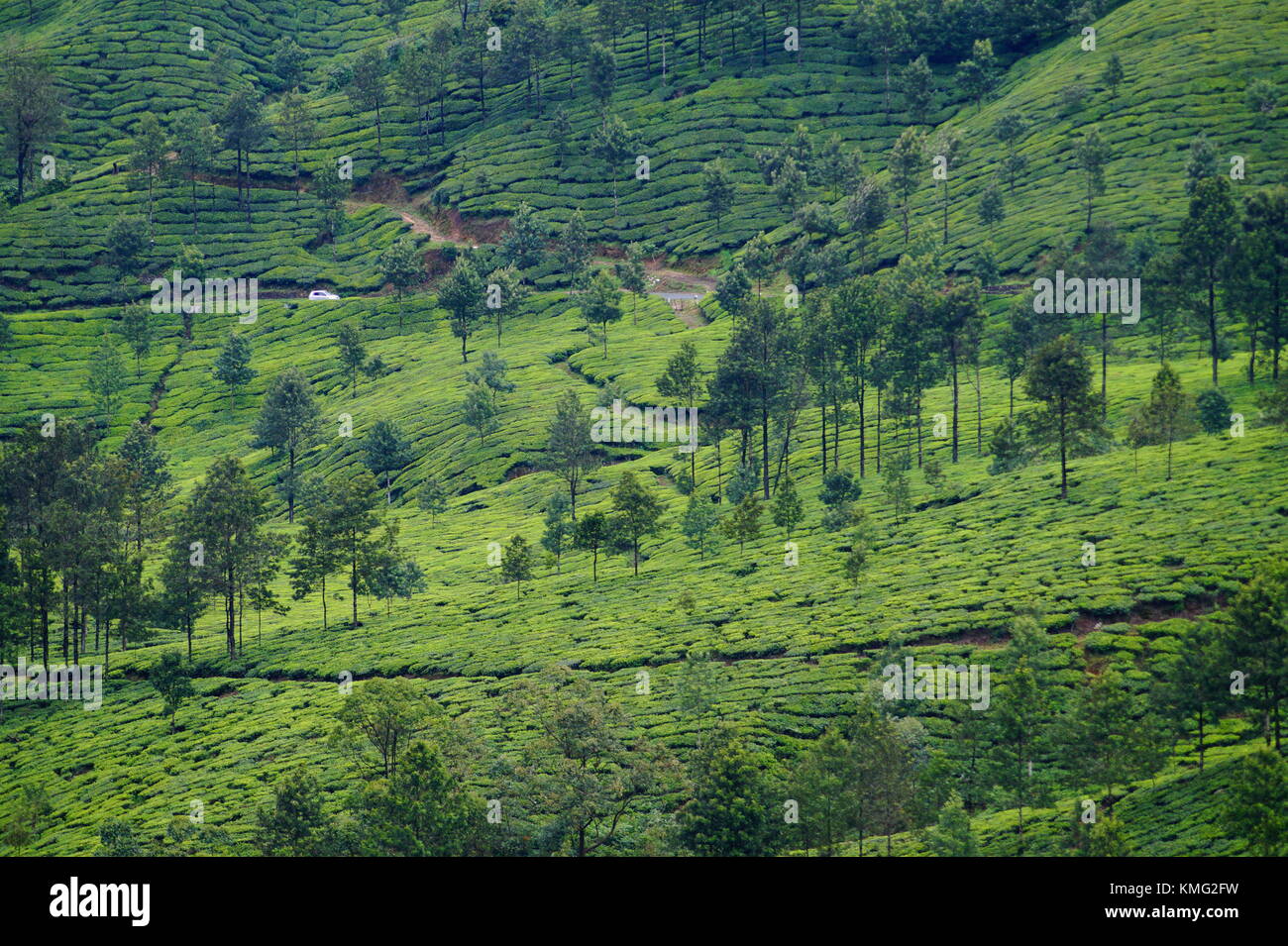 Green landscapes of india hi-res stock photography and images - Alamy
