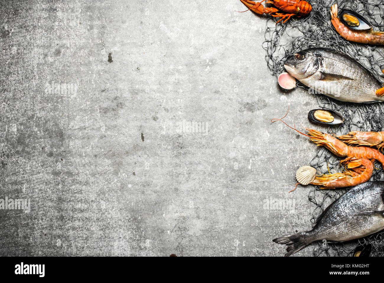 Fresh raw seafood. Fresh seafood with a fishing net. On a stone ...