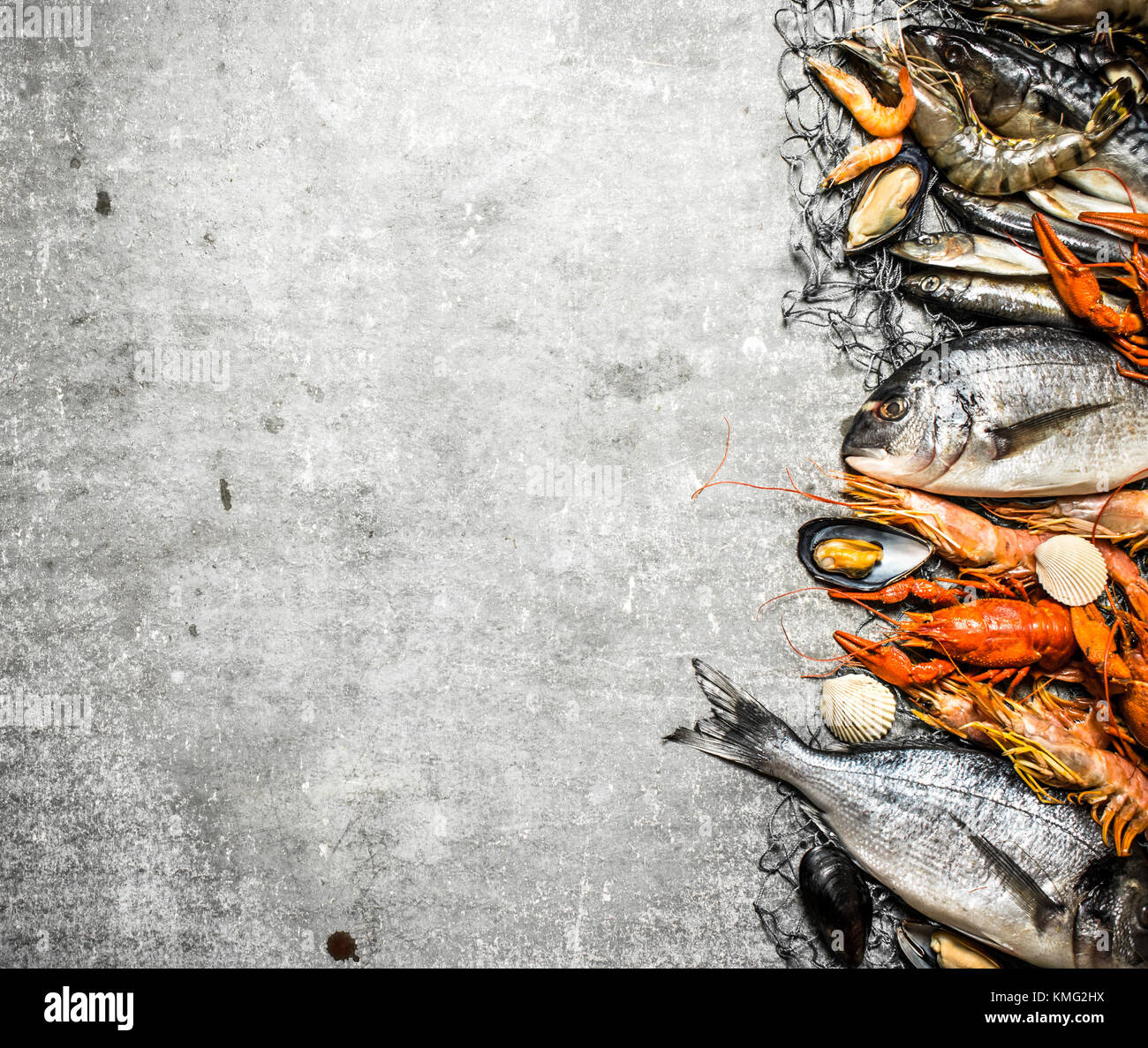 Fresh raw seafood. Fresh seafood with a fishing net. On a stone ...