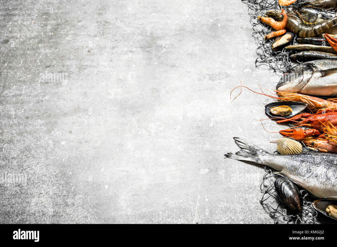 Fresh raw seafood. Fresh seafood with a fishing net. On a stone ...