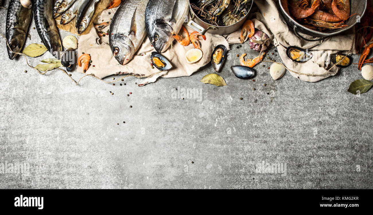 Fresh seafood. Fresh shrimp, fish and shellfish. On a stone background ...