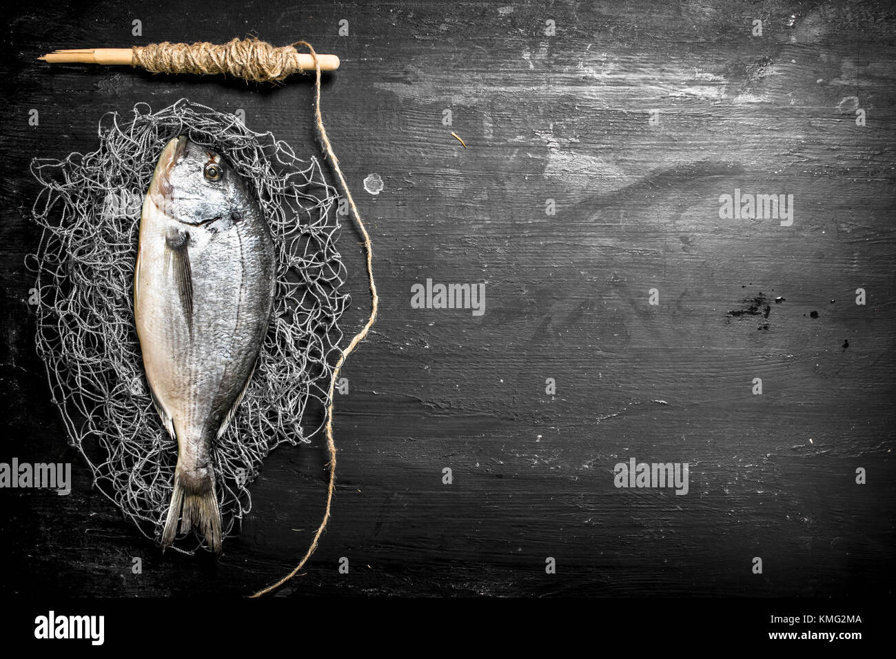 Fresh sea fish on a fishing net. On a black chalkboard Stock Photo - Alamy