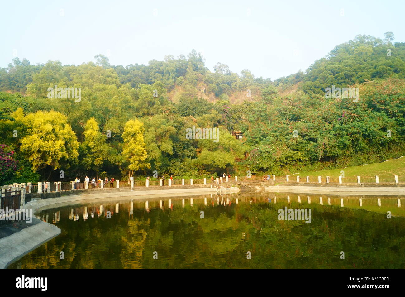 Ponds and surrounding natural landscapes Stock Photo - Alamy