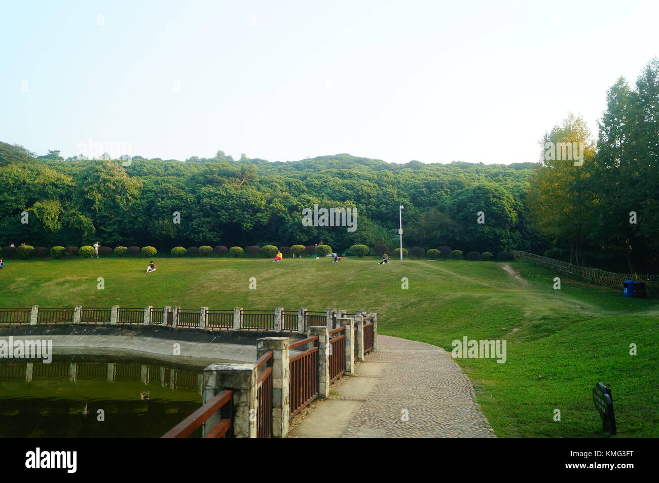 Ponds and surrounding natural landscapes Stock Photo - Alamy