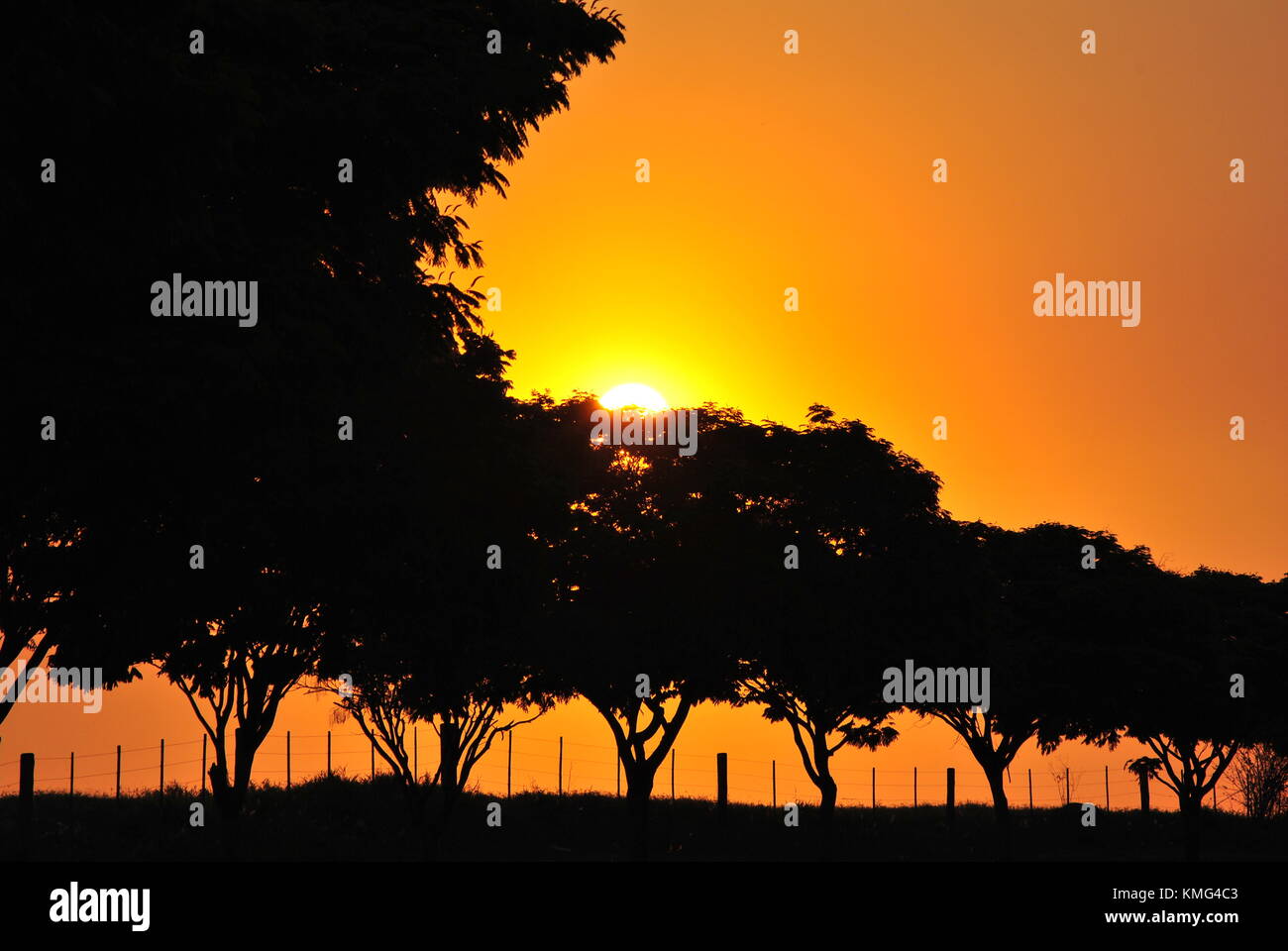 the thousand colors of the sky Stock Photo - Alamy