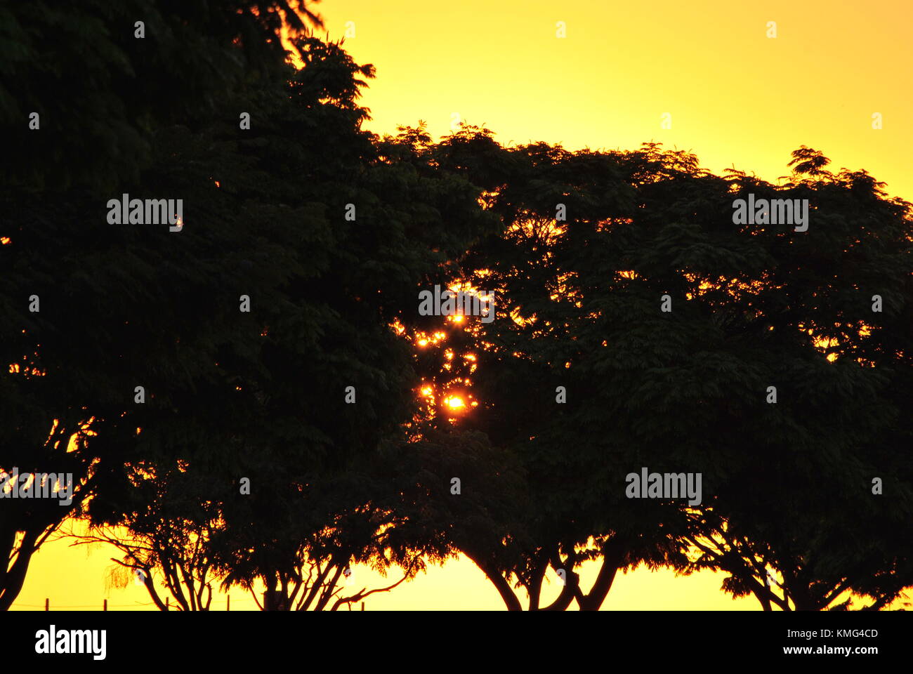 the thousand colors of the sky Stock Photo - Alamy
