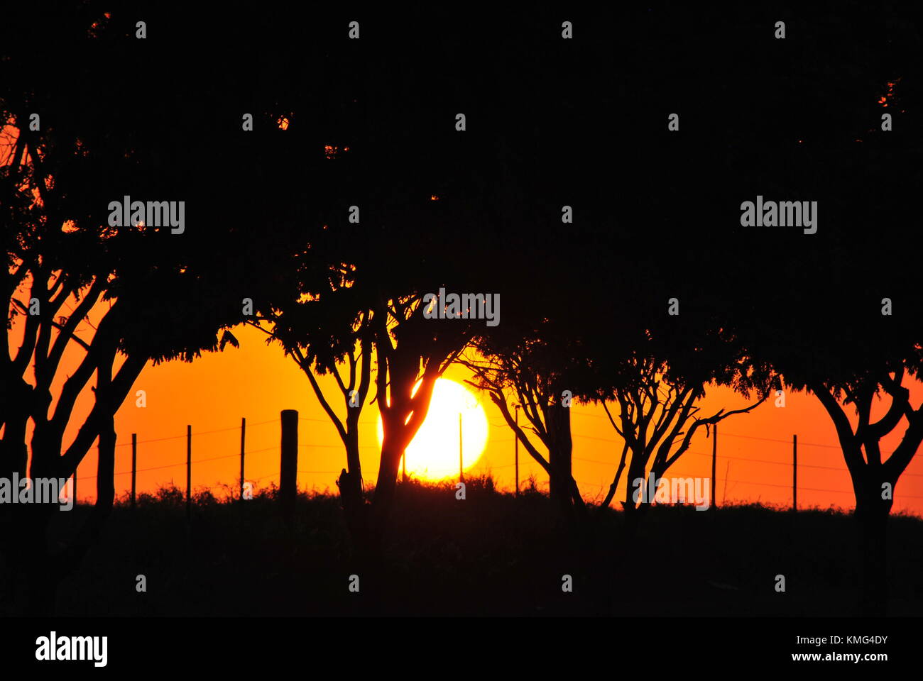 the thousand colors of the sky Stock Photo - Alamy