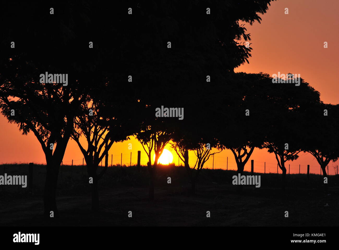 the thousand colors of the sky Stock Photo - Alamy