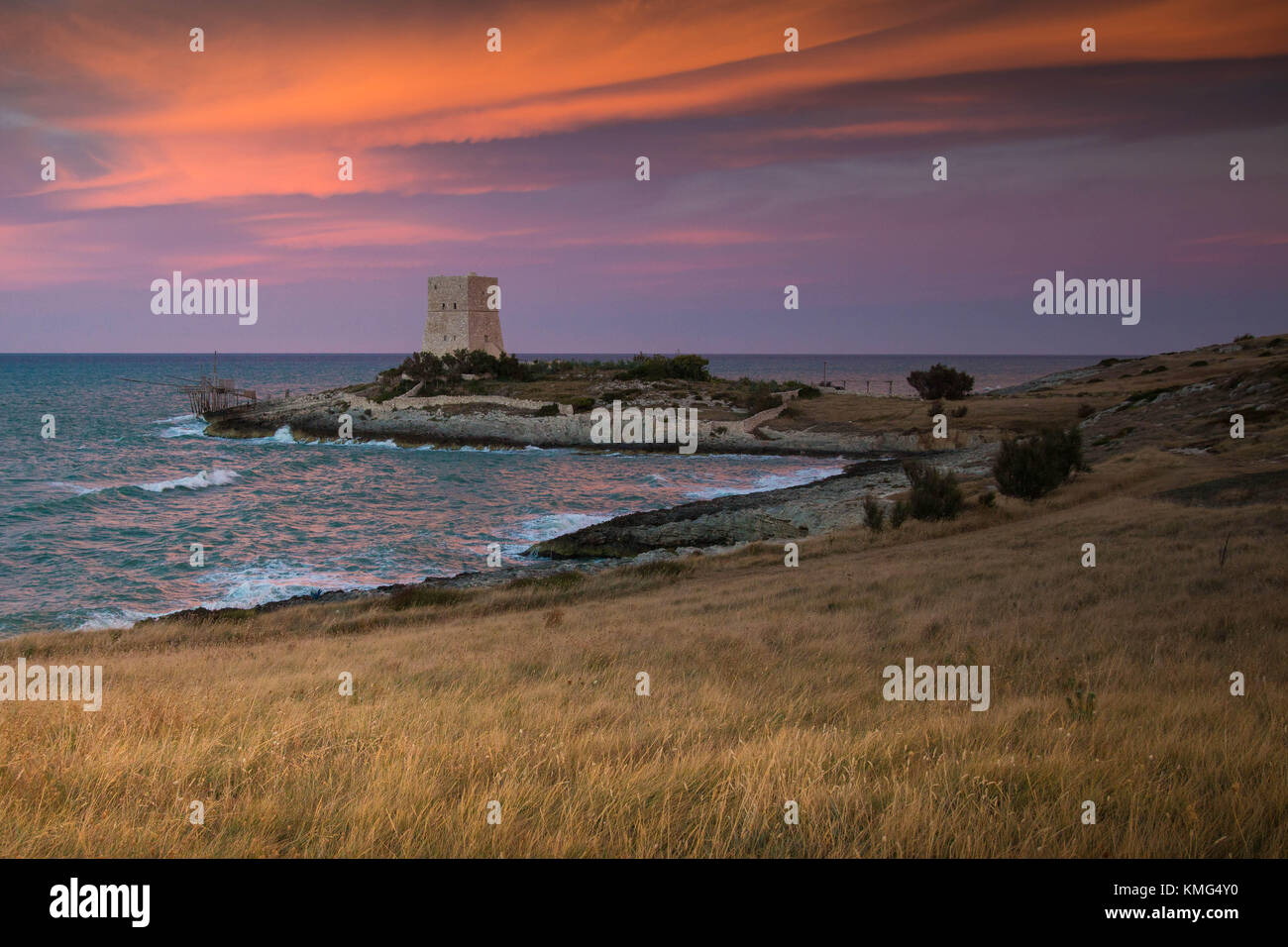 Dramatic sunset on Vieste shore with pink purple sky and medieval ...
