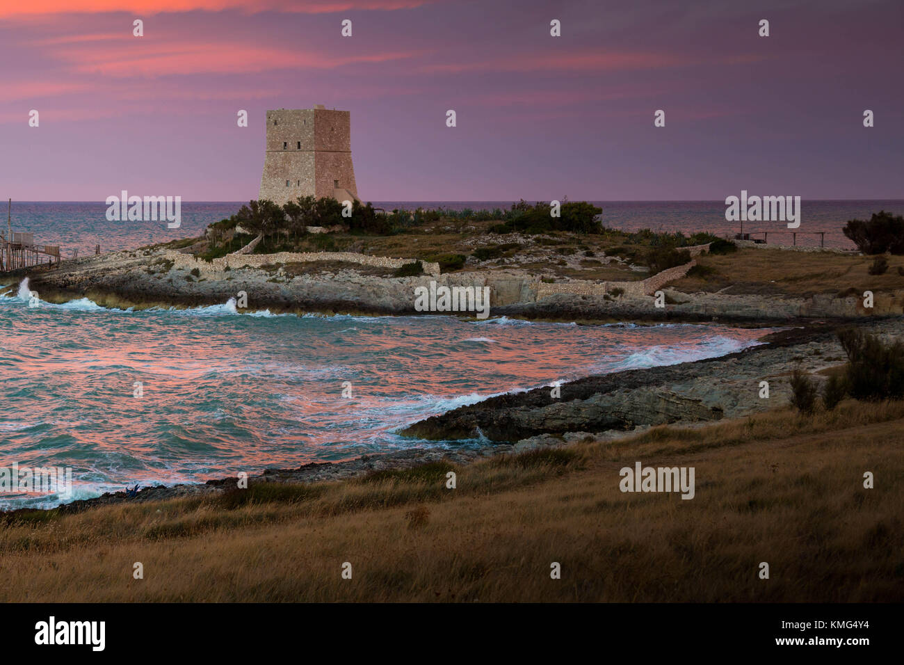 Dramatic sunset on Vieste shore with pink purple sky and medieval ...