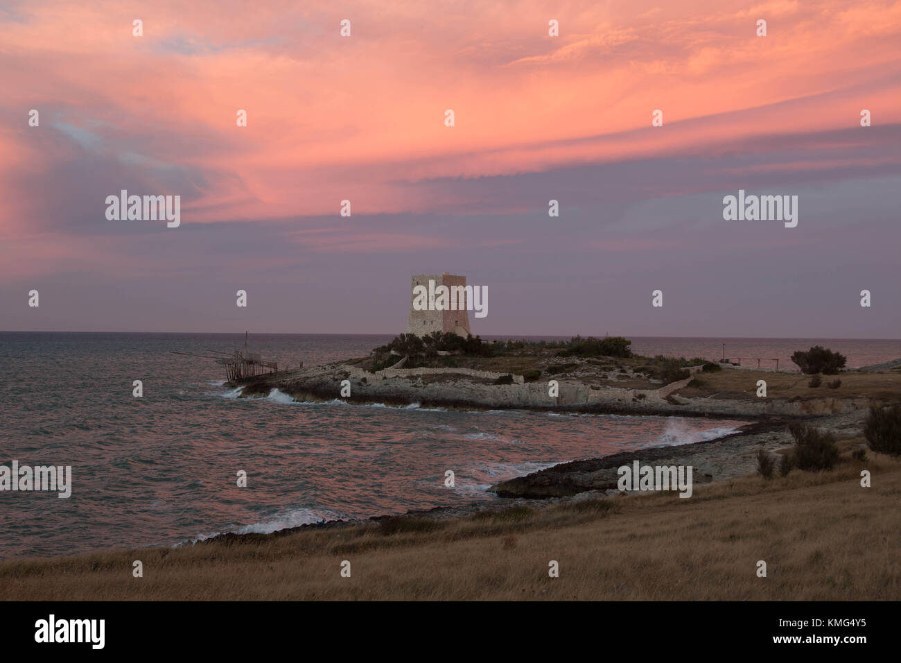 Dramatic sunset on Vieste shore with pink purple sky and medieval ...
