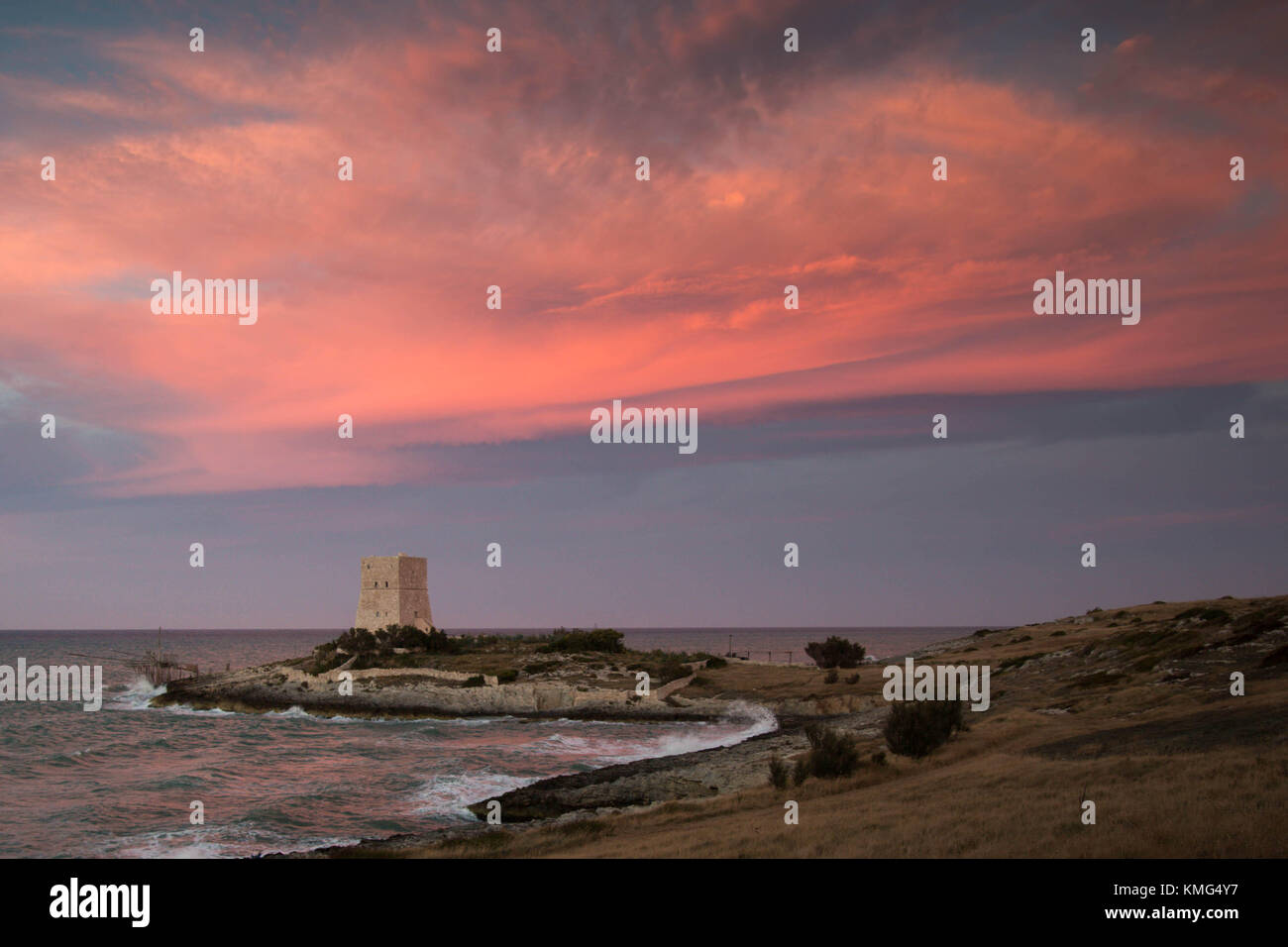Dramatic sunset on Vieste shore with pink purple sky and medieval ...