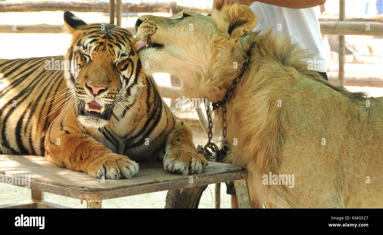 Buenos zoos hi-res stock photography and images - Alamy
