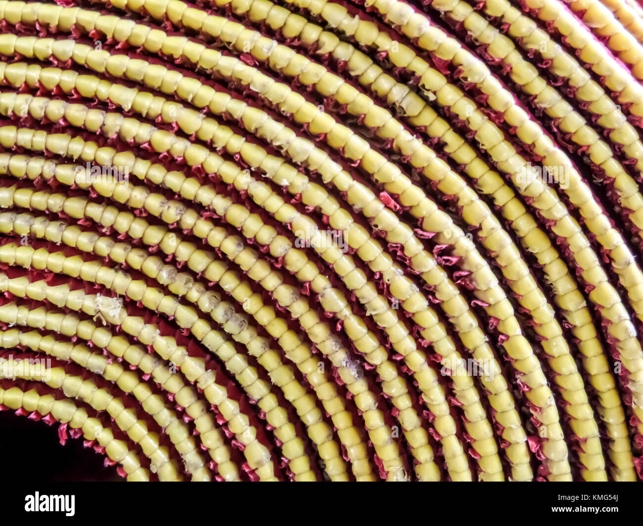 vintage of skin mat texture border surface Stock Photo - Alamy