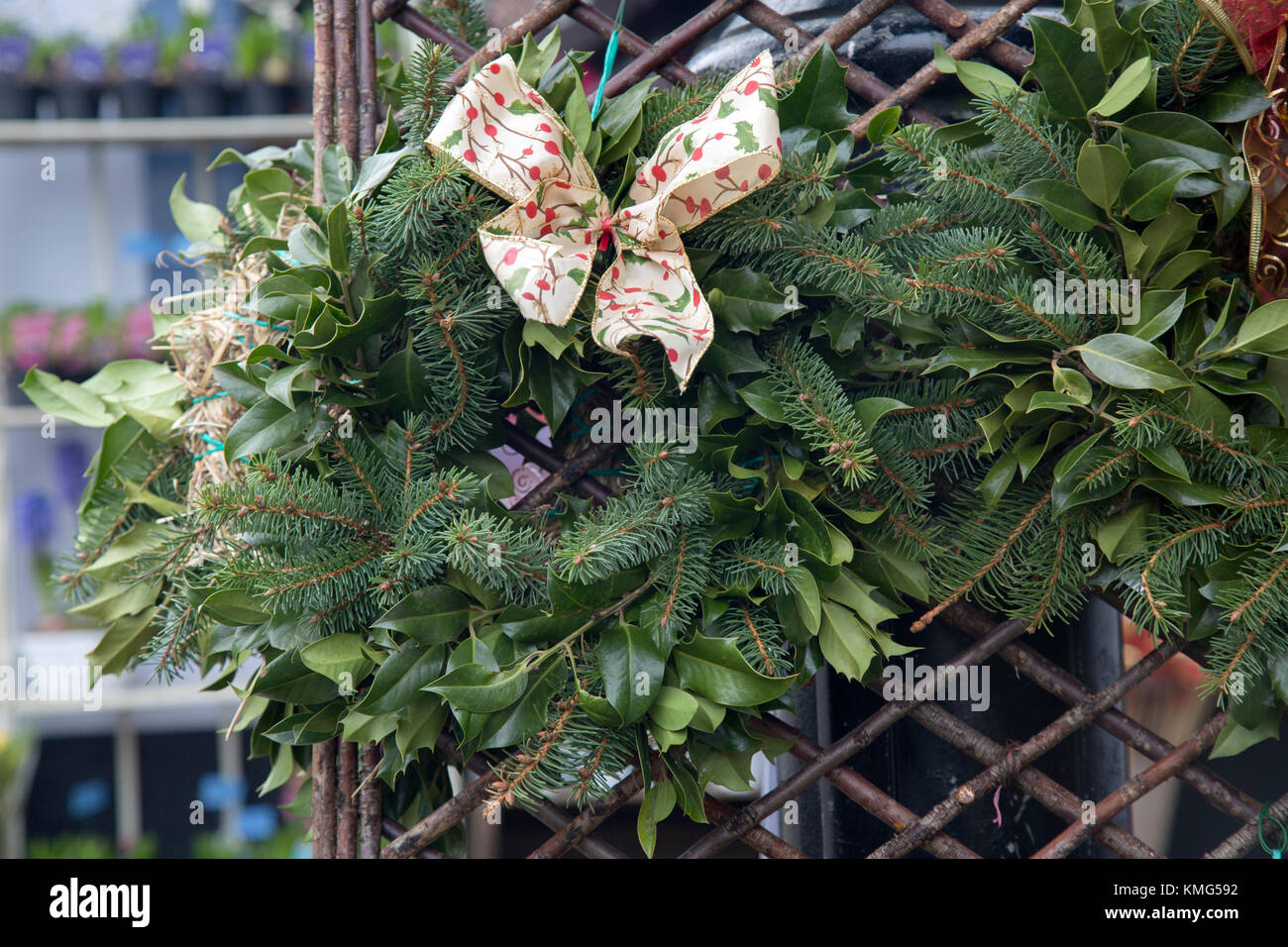 Christmas Reef Decoration with Ribbon Stock Photo - Alamy