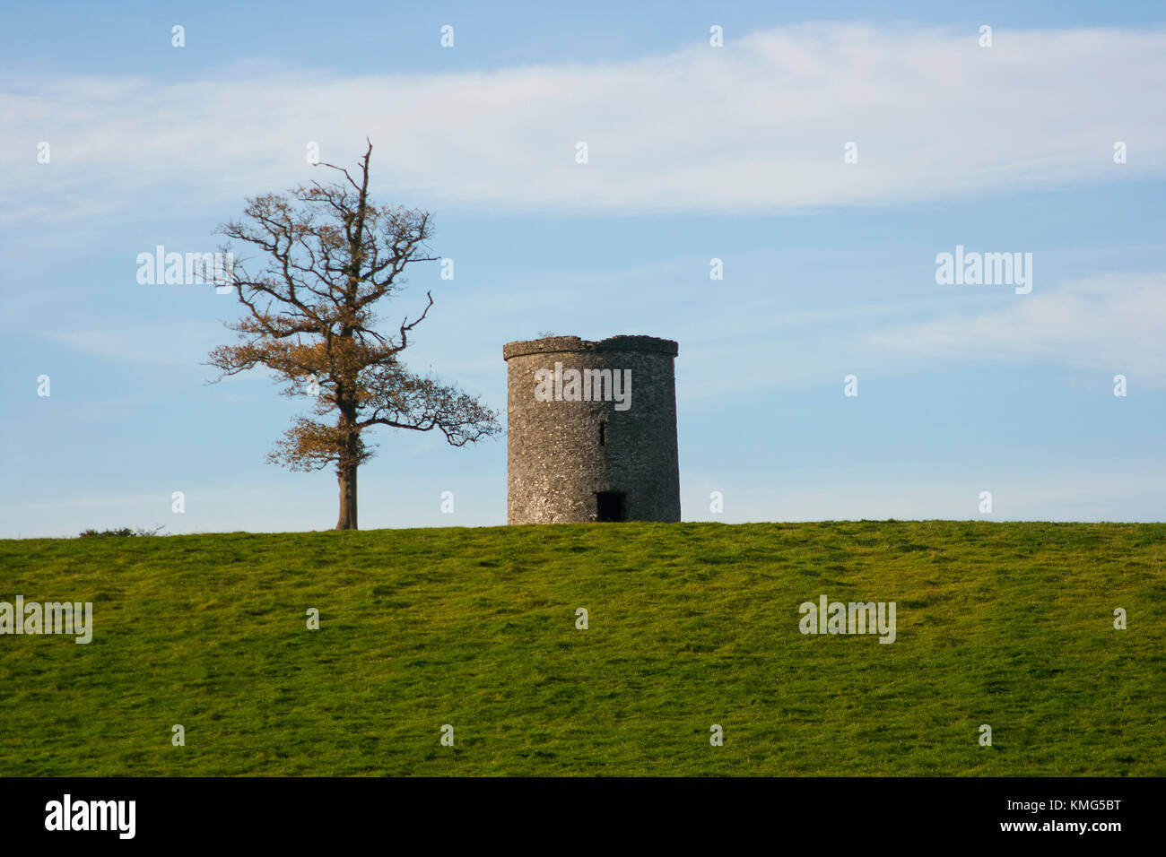 An ancient round tower with an old dying ash tree beside it in a ...
